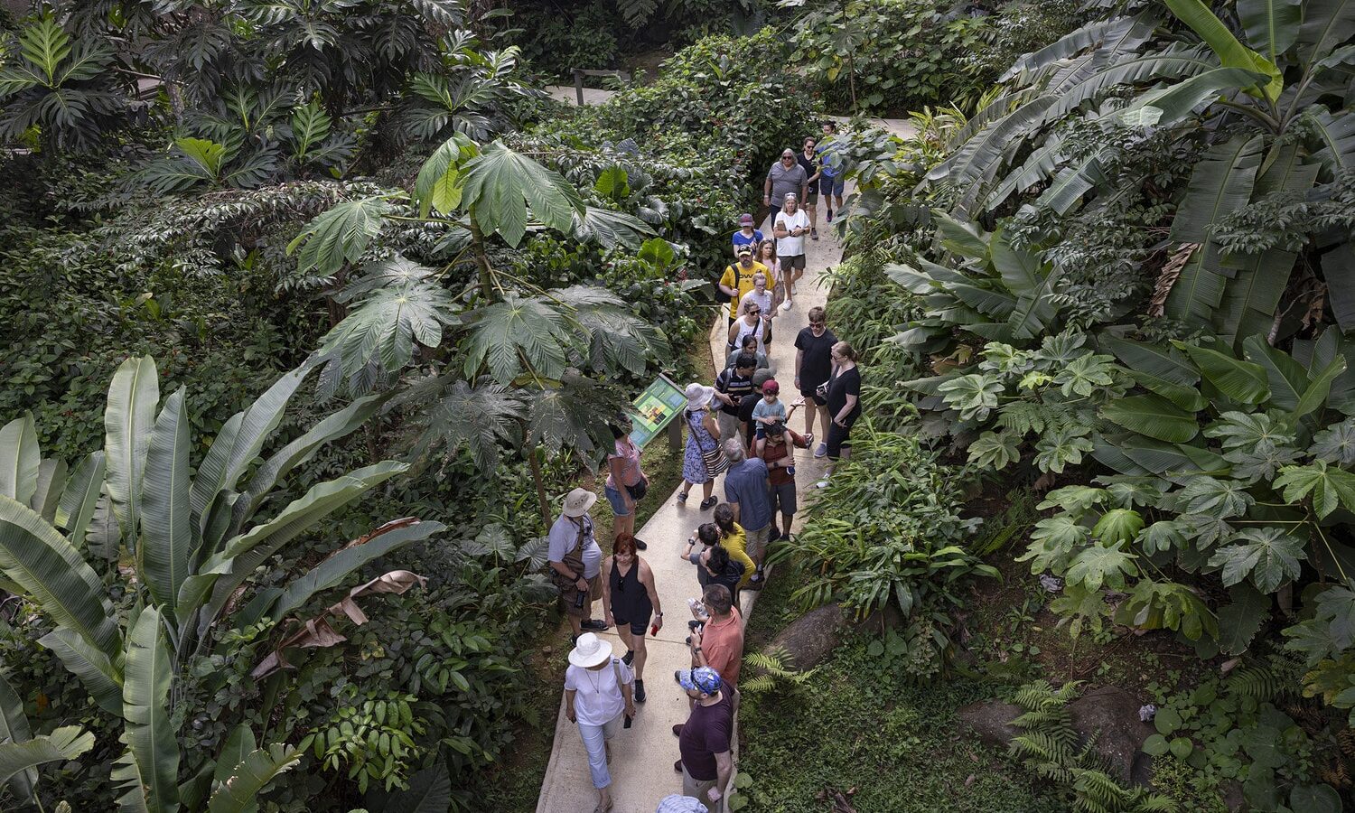 Revitalization of el Portal de El Yunque – Marvel