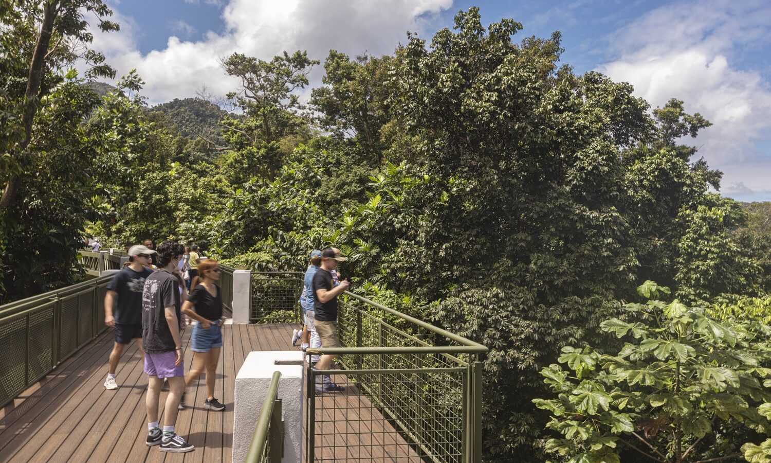 The Landscape at el Portal de El Yunque - Marvel